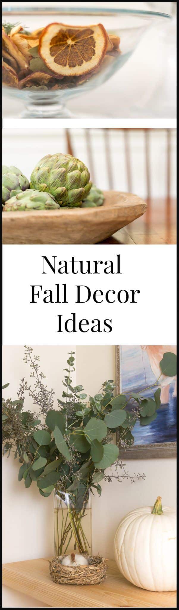 Fall Open House...Natural Decor • Nourish and Nestle